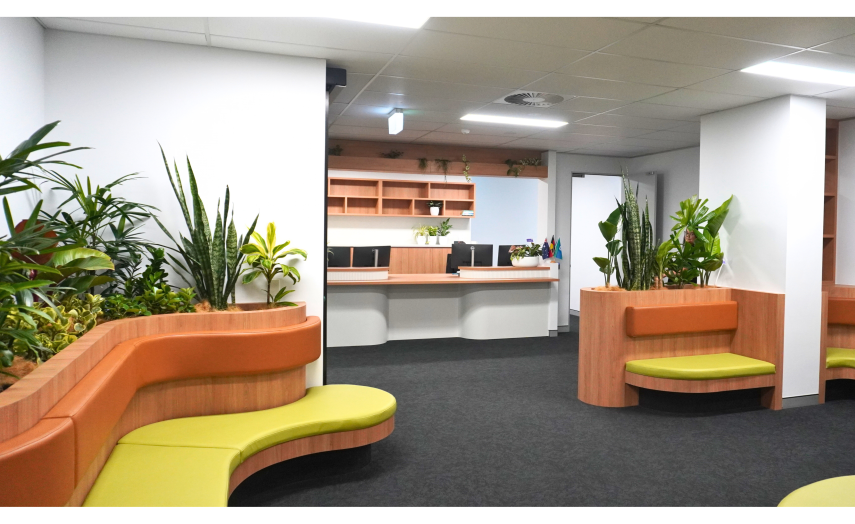 Homepage - Brain & Mind Hub